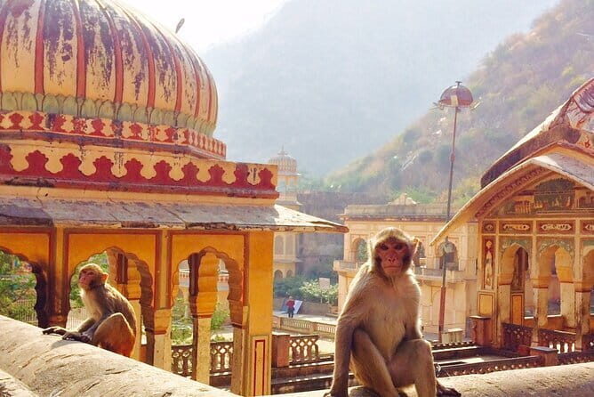 Travel Through the Streets of Jaipur by Tuktuk with a Local - Who Should Book This Tour?