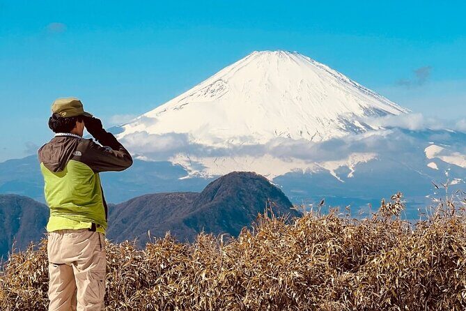 Traverse Outer Rim of Hakone Caldera and Enjoy Onsen Hiking Tour - The Detailed Experience
