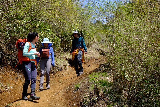 Traverse Outer Rim of Hakone Caldera and Enjoy Onsen Hiking Tour - Practical Tips for Travelers