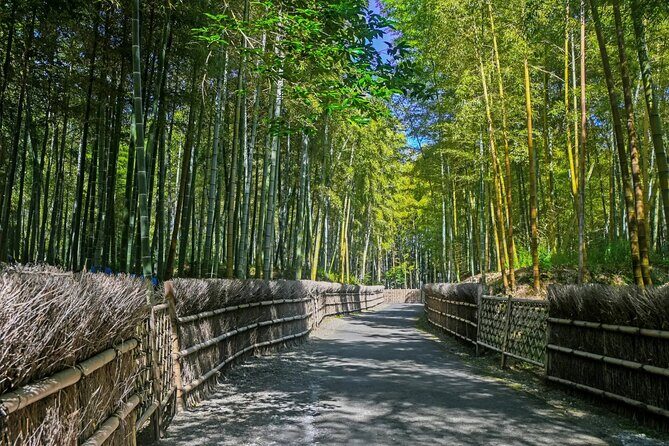 Traversing Kyoto's Scenic West - Arashiyama to Kinkakuji - Key Points