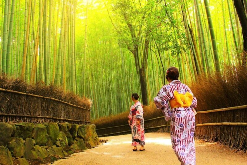 Traversing Kyoto's Scenic West - Arashiyama to Kinkakuji - Practical Tips