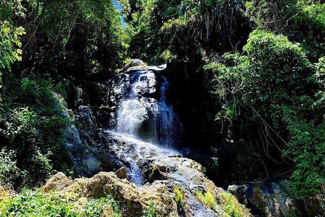 Travstore Original Samui Discovery-Shared Half Day City Tour - Authentic Experiences and Traveler Feedback