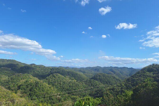 Treasure Beach Craft & Pineapple Farm Experience- Jamaica - Introduction: What’s on Offer