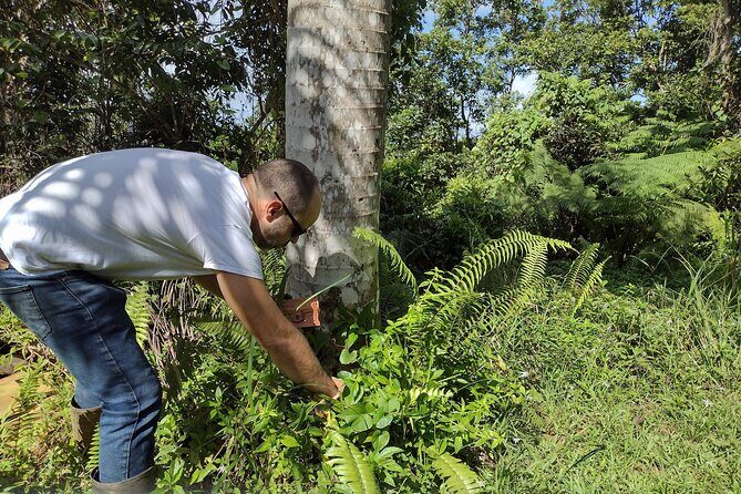 Treasure Hunt Adventure Hike and Discover Your Own Treasure - Key Points