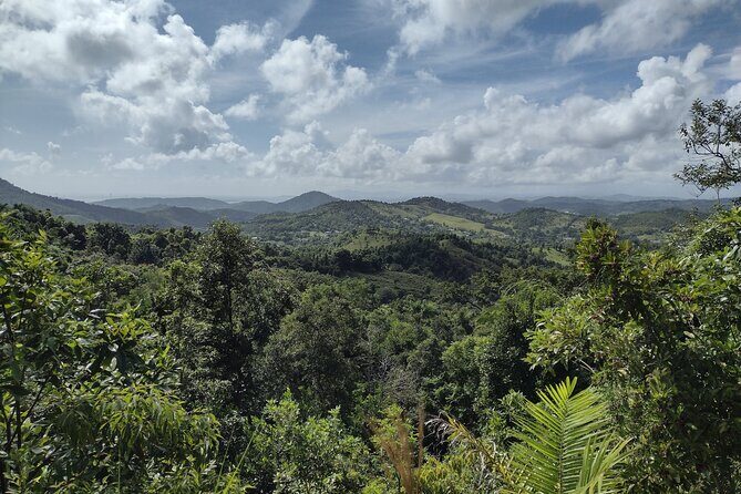 Treasure Hunt Adventure Hike and Discover Your Own Treasure - Final Thoughts: Is This Tour Worth It?