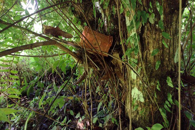 Treasure Hunt Adventure Hike and Discover Your Own Treasure - FAQ