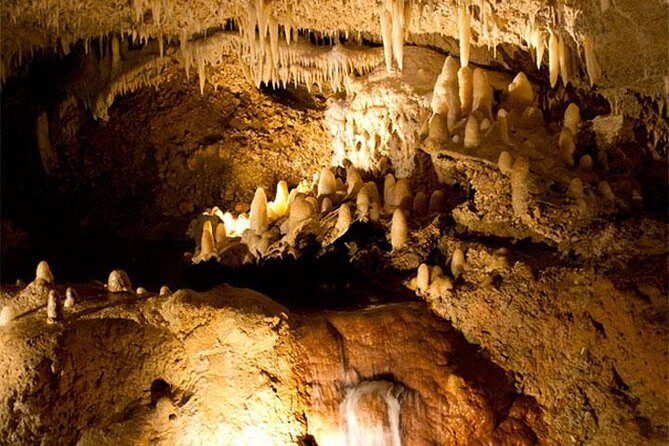 Treasures of Barbados Cave and Plantation Sightseeing Tour - A Deep Dive into the Tour Experience