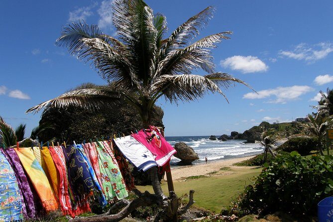 Treasures of Barbados Cave and Plantation Sightseeing Tour - Final Thoughts: Who Will Love This Tour?