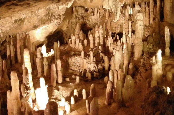 Treasures of Barbados Cave and Plantation Sightseeing Tour - Final Words