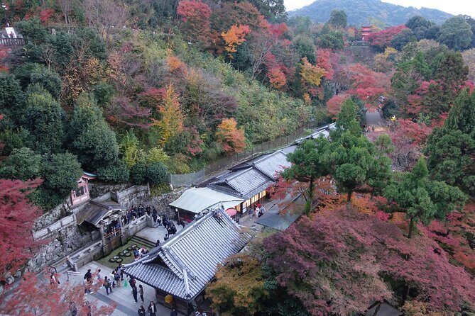 TREASURES of Kyoto: Fushimi Inari, Kiyomizu Temple, and more! - Frequently Asked Questions