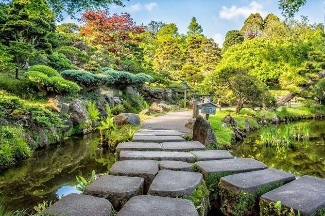 Treasures of San Francisco: Golden Gate Park Private Tour - Key Points