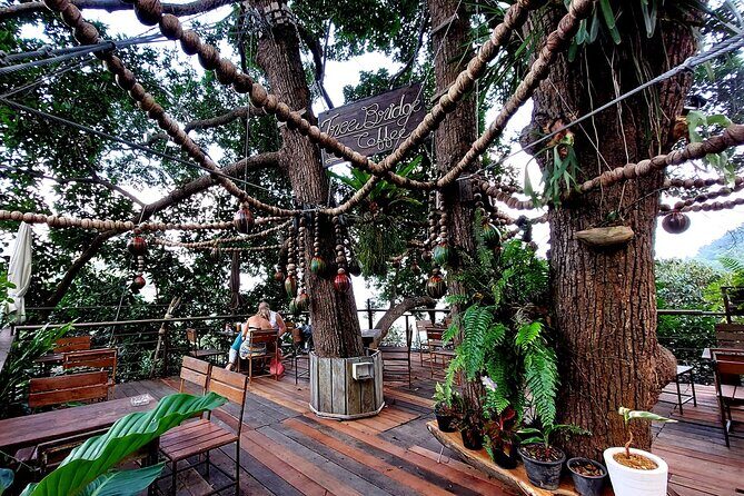 Tree Bridge Cafe And Zipline - Jungle Flight Adventure in Koh Samui - An In-Depth Look at the Jungle Flight Experience