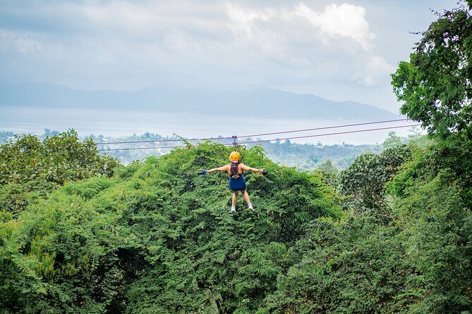 Tree Bridge Zipline Rainforest Canopy Experience from Koh Samui - Key Points