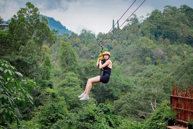 Tree Bridge Zipline Rainforest Canopy Experience from Koh Samui - Value and Practicality