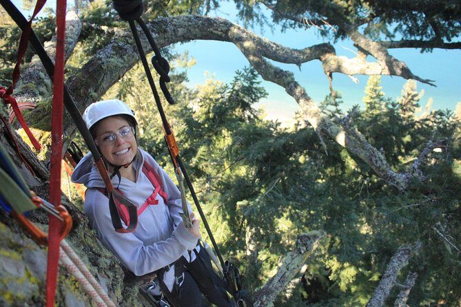 Tree Canopy Climbing on Lopez Island - Tree Canopy Climbing on Lopez Island: An Adventure in the Treetops