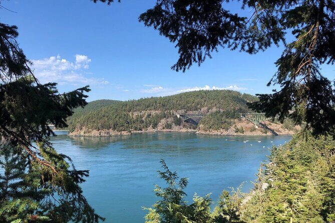 Tree Canopy Climbing on Lopez Island - FAQ