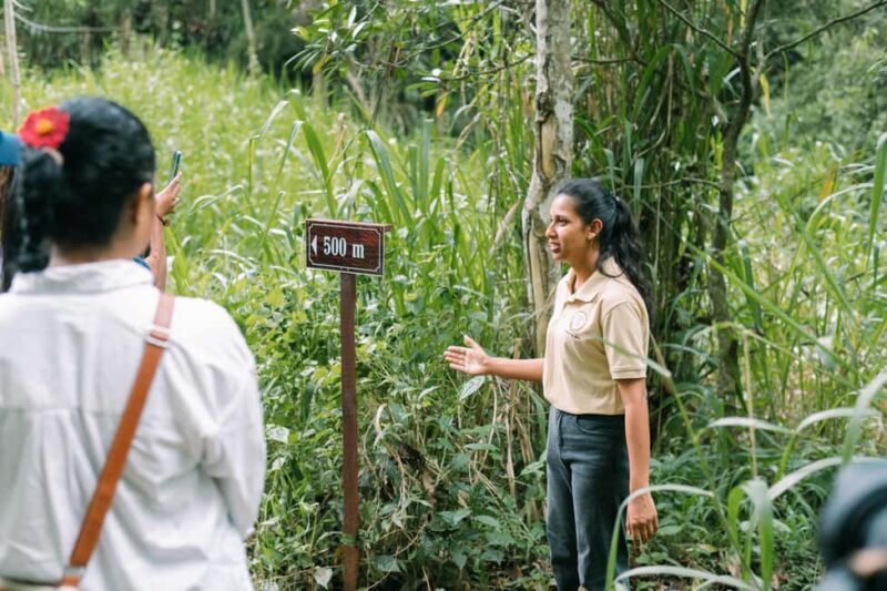 Tree of Life's Coffee Heritage Trail - What to Expect from the Coffee Heritage Trail