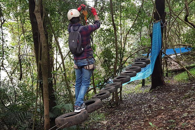 Tree Top Adventure - What to Expect at Tree Top Adventure
