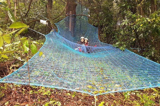 Tree Top Adventure - Why This Tour Offers Great Value