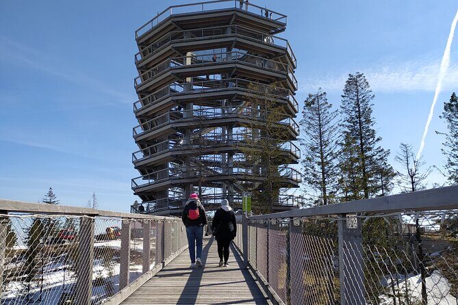 Tree Top Walk in Slovakia & Zakopane Private Tour From Krakow - The Experience in Action – Authenticity and Practicality
