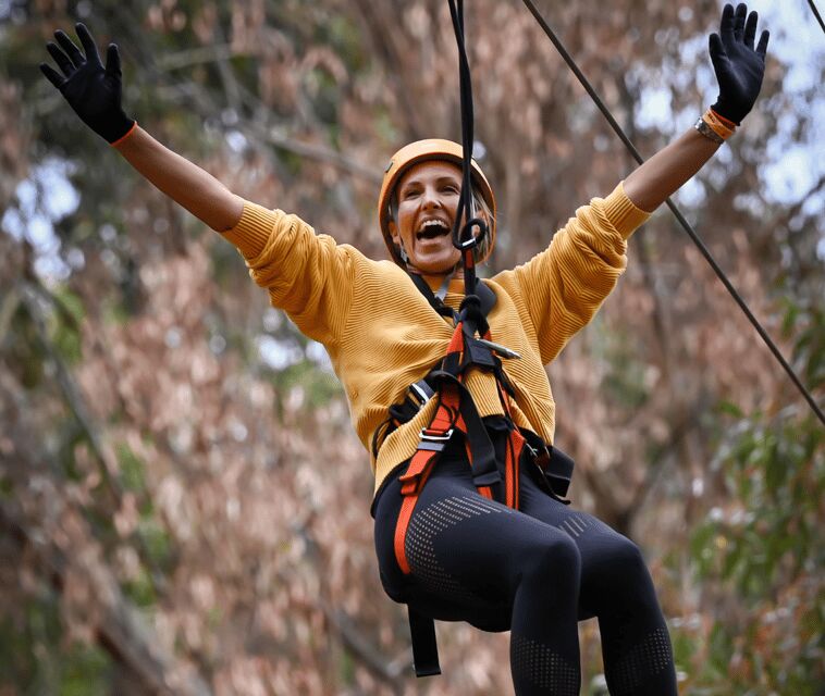 TreeClimb Kuitpo Forest: Exciting Treetop Climbing Adventure - An In-Depth Look at the Experience