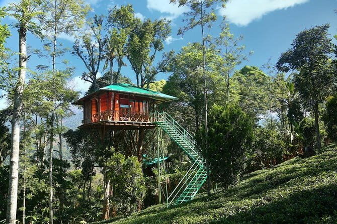 Treehouse stay in munnar - Discover the Charm of a Treehouse Stay in Munnar