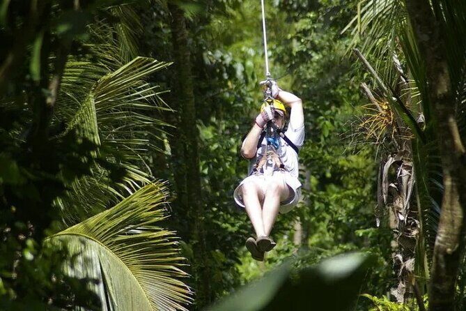 Treetop Adventure Park Canopy Tour - Final Thoughts