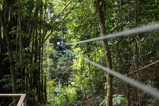 Treetop Canopy Adventure - Treetop Canopy Adventure in St. Lucia: An In-Depth Review