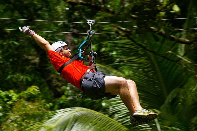 Treetop Canopy Adventure - Exploring the Treetop Canopy Adventure: What to Expect