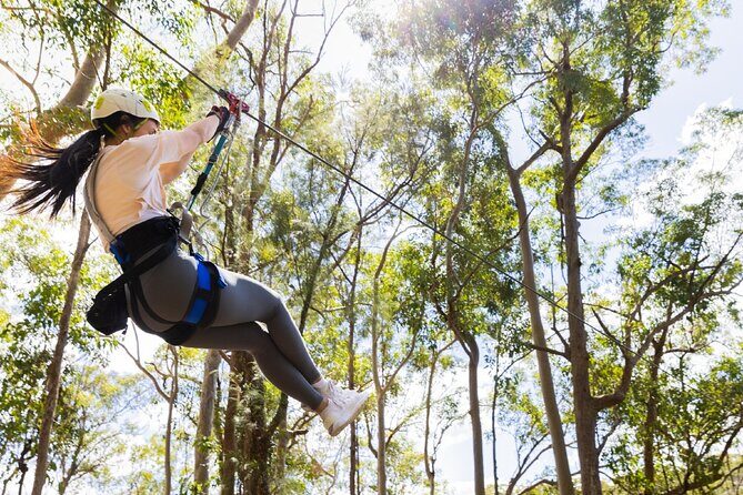 Treetop Challenge Adrenaline Pass - What’s Included and Why It Matters