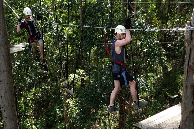 Treetop Challenge Adrenaline Pass - The TreeTop Challenge Adventure Park: A Puzzle in the Sky