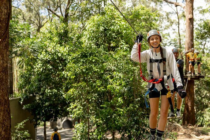 TreeTop Challenge Currumbin Wildlife Park - Exciting Adventure at TreeTop Challenge Currumbin Wildlife Park: A Balanced Look