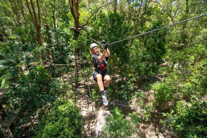 TreeTop Challenge Currumbin Wildlife Park - Who Might Want to Consider Alternatives?