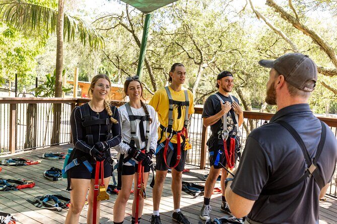 TreeTop Challenge Currumbin Wildlife Park - The Sum Up: Is It Worth It?