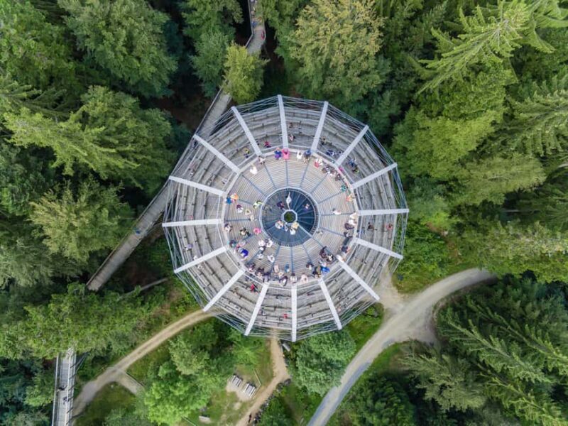 Treetop Walk Bavarian Forest: Discover the world of treetops - Key Points