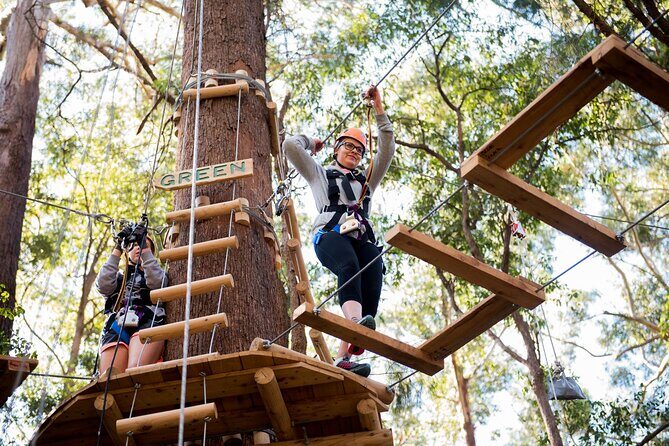Treetops Adventure Coffs Harbour Tree Ropes Course - What You Can Expect at Treetops Adventure Coffs Harbour