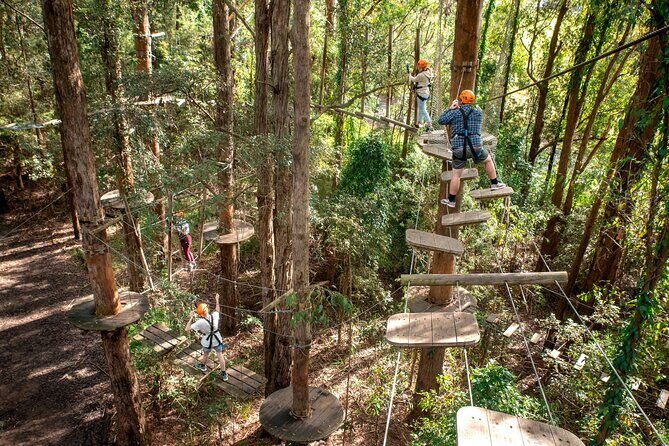 Treetops Adventure Newcastle with Tree Ropes Course - Treetops Adventure Newcastle with Tree Ropes Course: An In-Depth Review