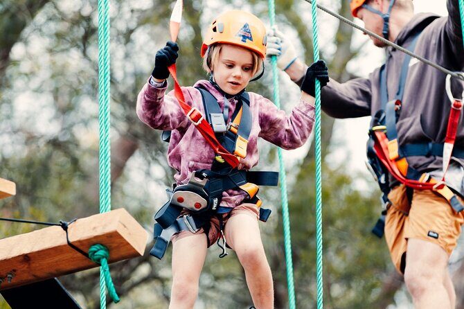 Treetops Adventure The Hills Junior Ropes Course - Practical Tips for Visitors