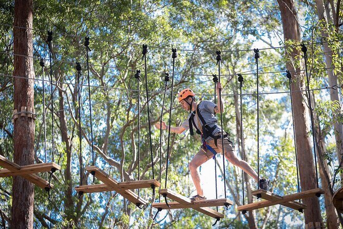 Treetops Adventure The Hills - Tree Ropes Course - An Authentic Forest Adventure Close to Sydney