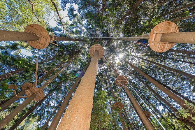 Treetops Adventure The Hills - Tree Ropes Course - Authentic Reviews: What Visitors Say