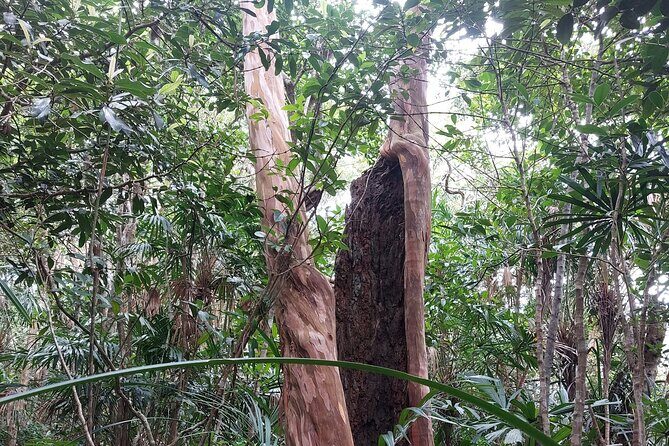 Trek Nui Chua Experience 2D1N, Night in the Jungle - Vinh Hy Bay - Authentic Experiences and Genuine Value