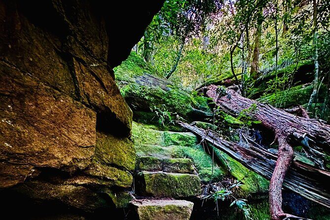 Trek Shoot and Soothe Hiking Tour from Springwood Blue Mountains - An Honest Look at the Trek Shoot and Soothe Experience