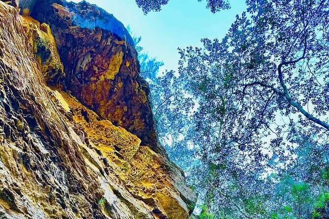 Trek Shoot and Soothe Hiking Tour from Springwood Blue Mountains - FAQ