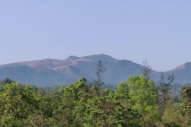 Trek the Kodachadri Summit - A Practical Guide to the Kodachadri Trek