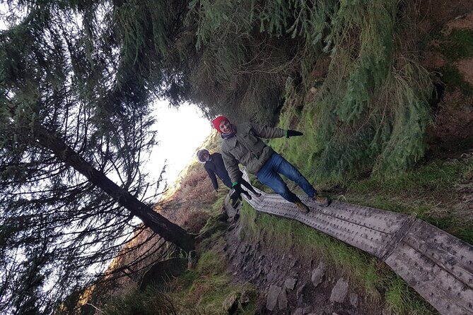 Trek the Tombs and Trails in the Dublin Mountains - Who Will Enjoy This Tour?