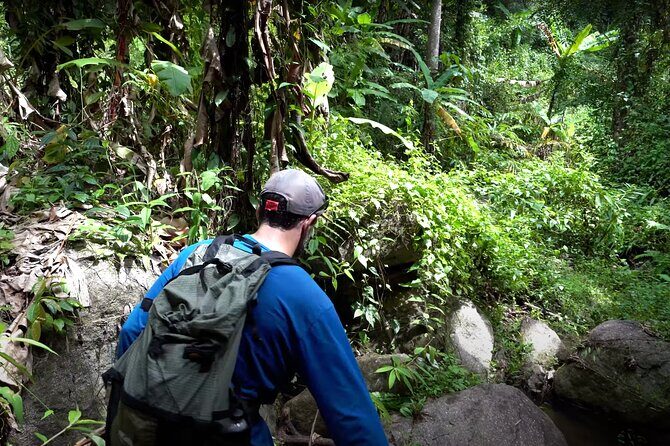 Trek to a Jungle Waterfall - Detailed Itinerary Breakdown