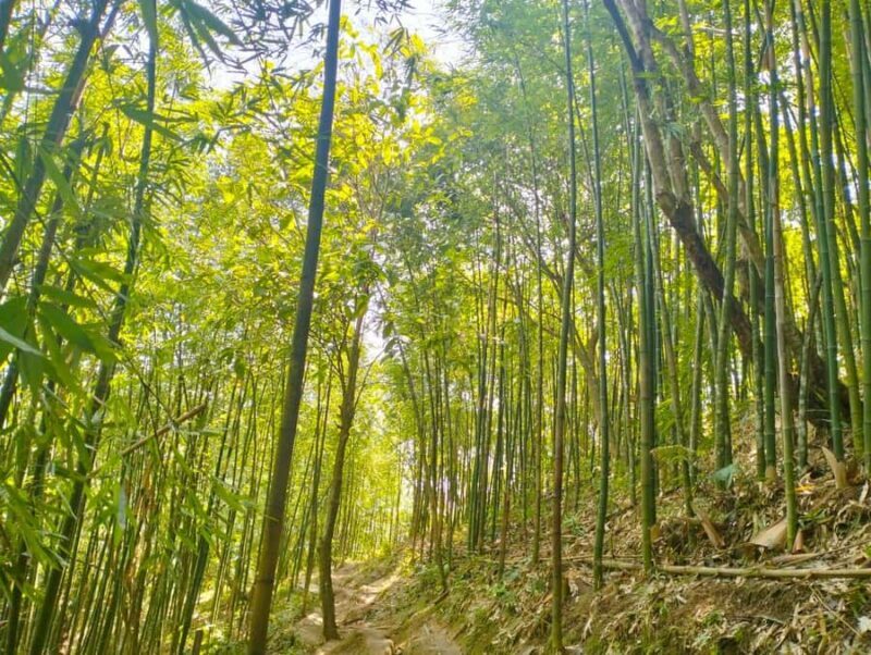 Trek to Local Ethnic Villages & Muong Hoa Valley/Guide/Lunch - Who Will Love This Tour?