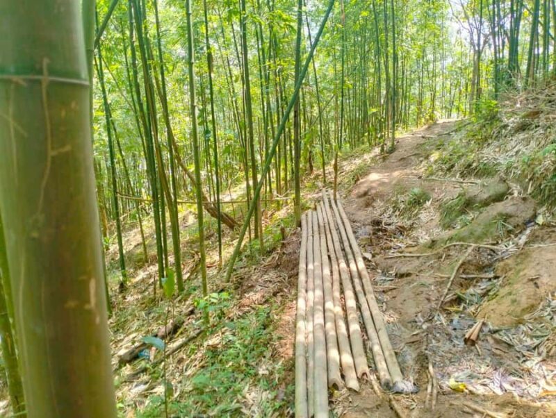 Trek to Local Ethnic Villages & Muong Hoa Valley/Guide/Lunch - FAQ