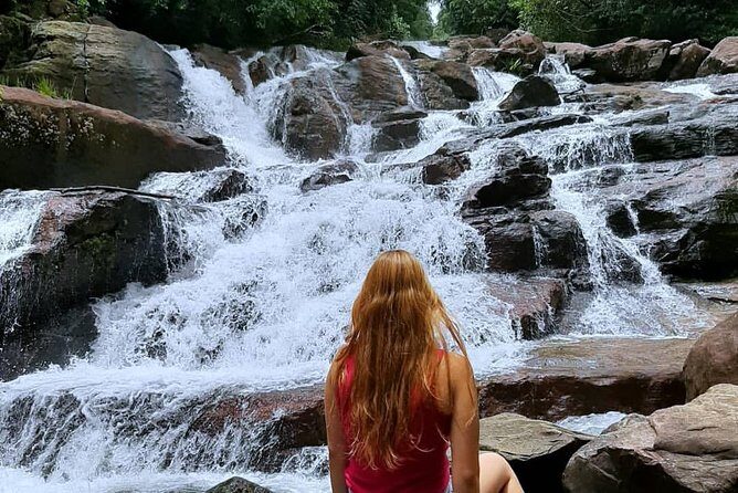 Trekking and Bird Watching in Kanneliya Rain Forest - Key Points