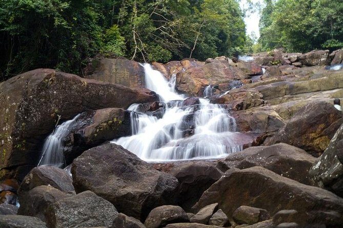 Trekking and Bird Watching in Kanneliya Rain Forest - A Closer Look at the Experience